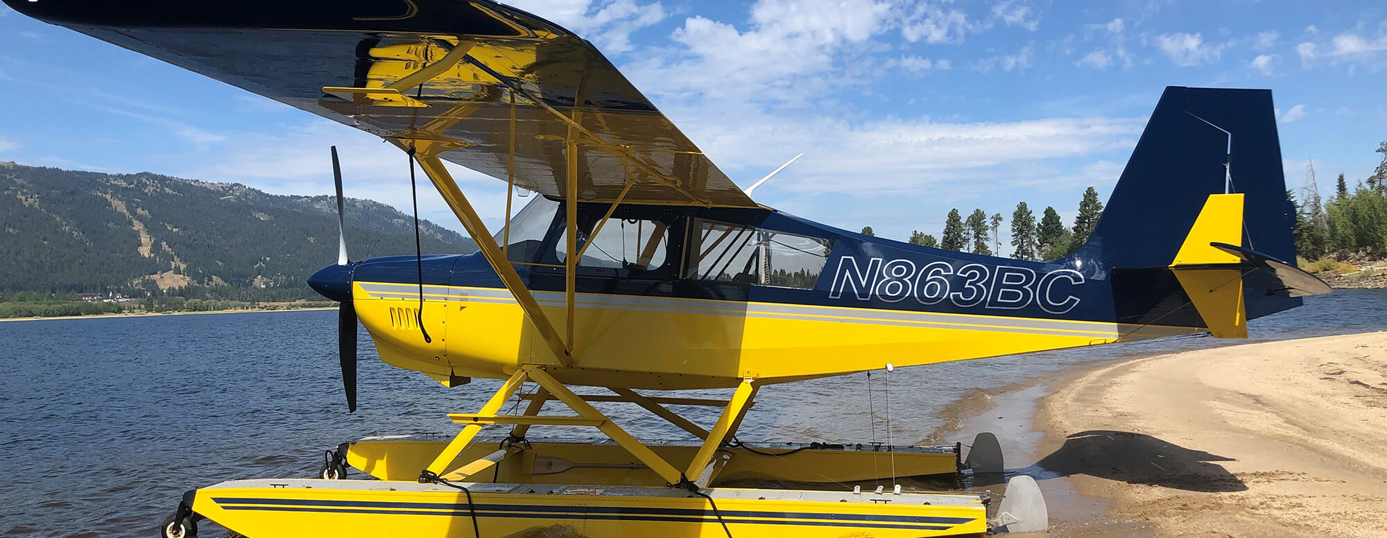 American Champion Aircraft | Northwest Backcountry Aircraft | Your ...